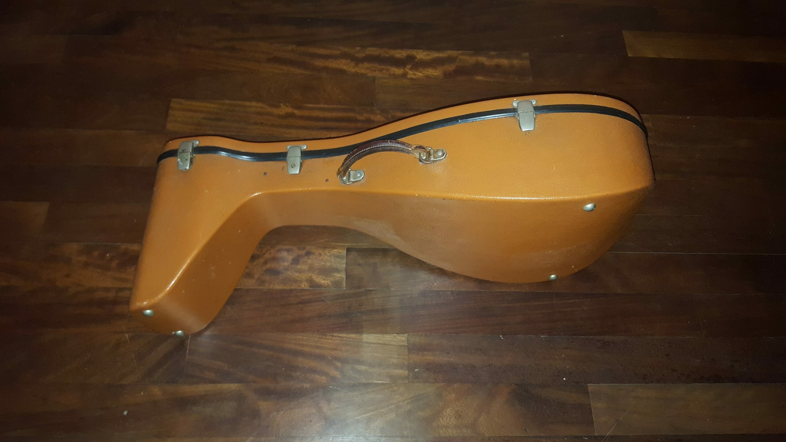 Case for lute - Cuerdas Pulsadas