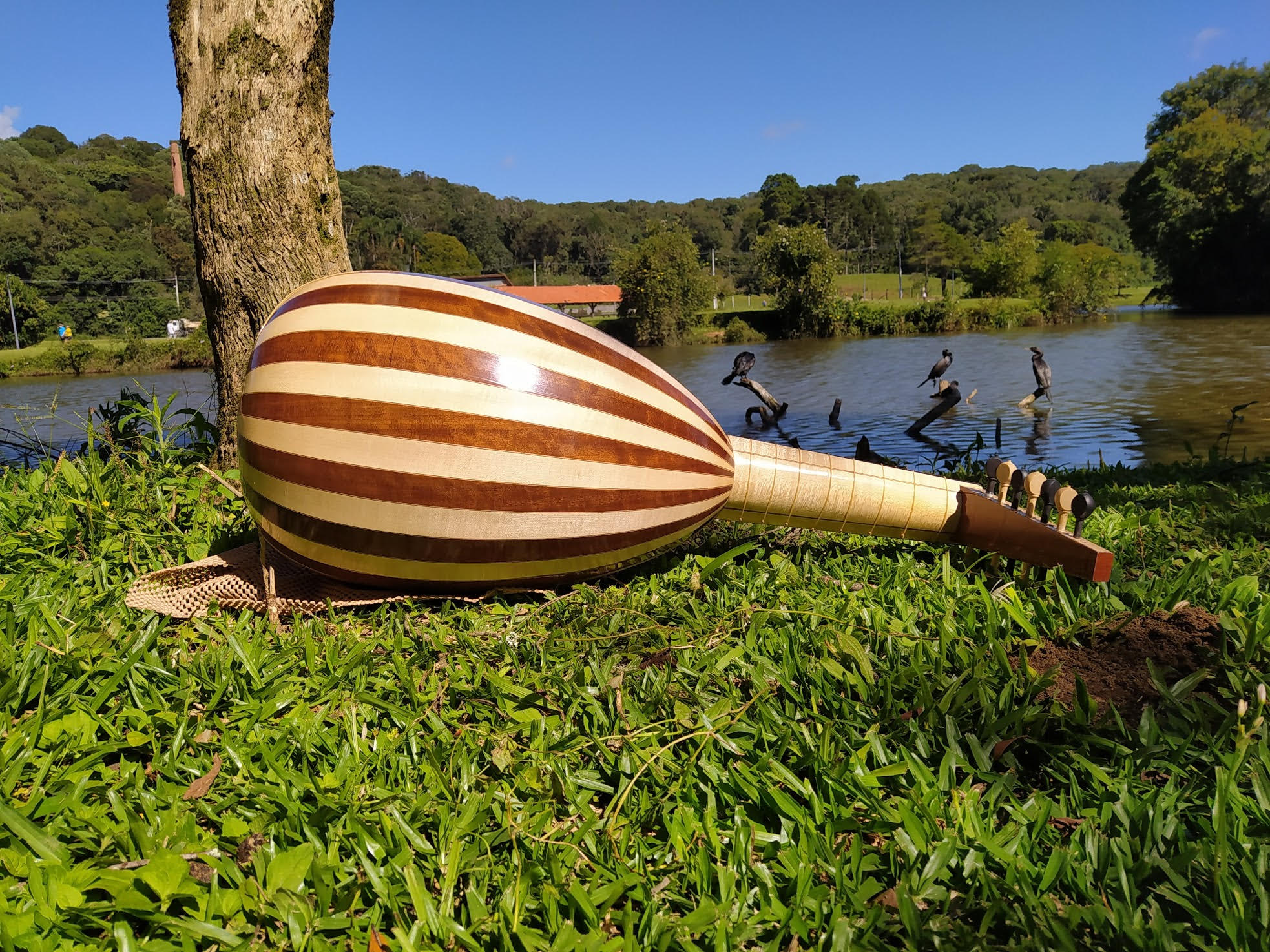 Lute market Archives - Page 2 of 14 - Cuerdas Pulsadas